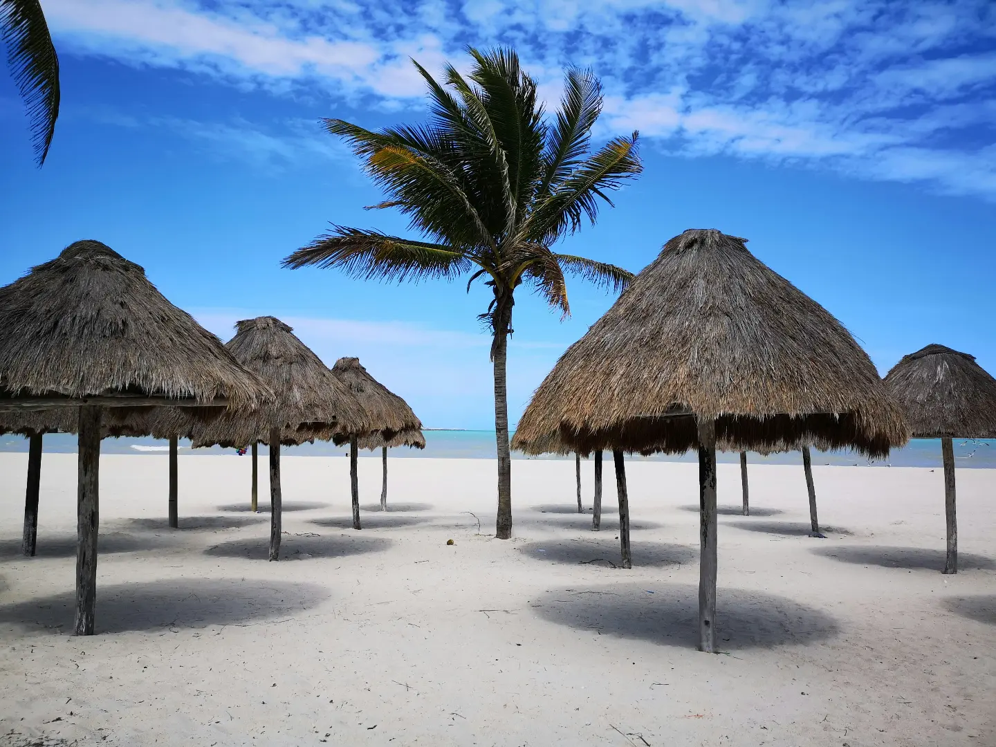 Progreso Real Estate Market: Yucatan's Rising Star